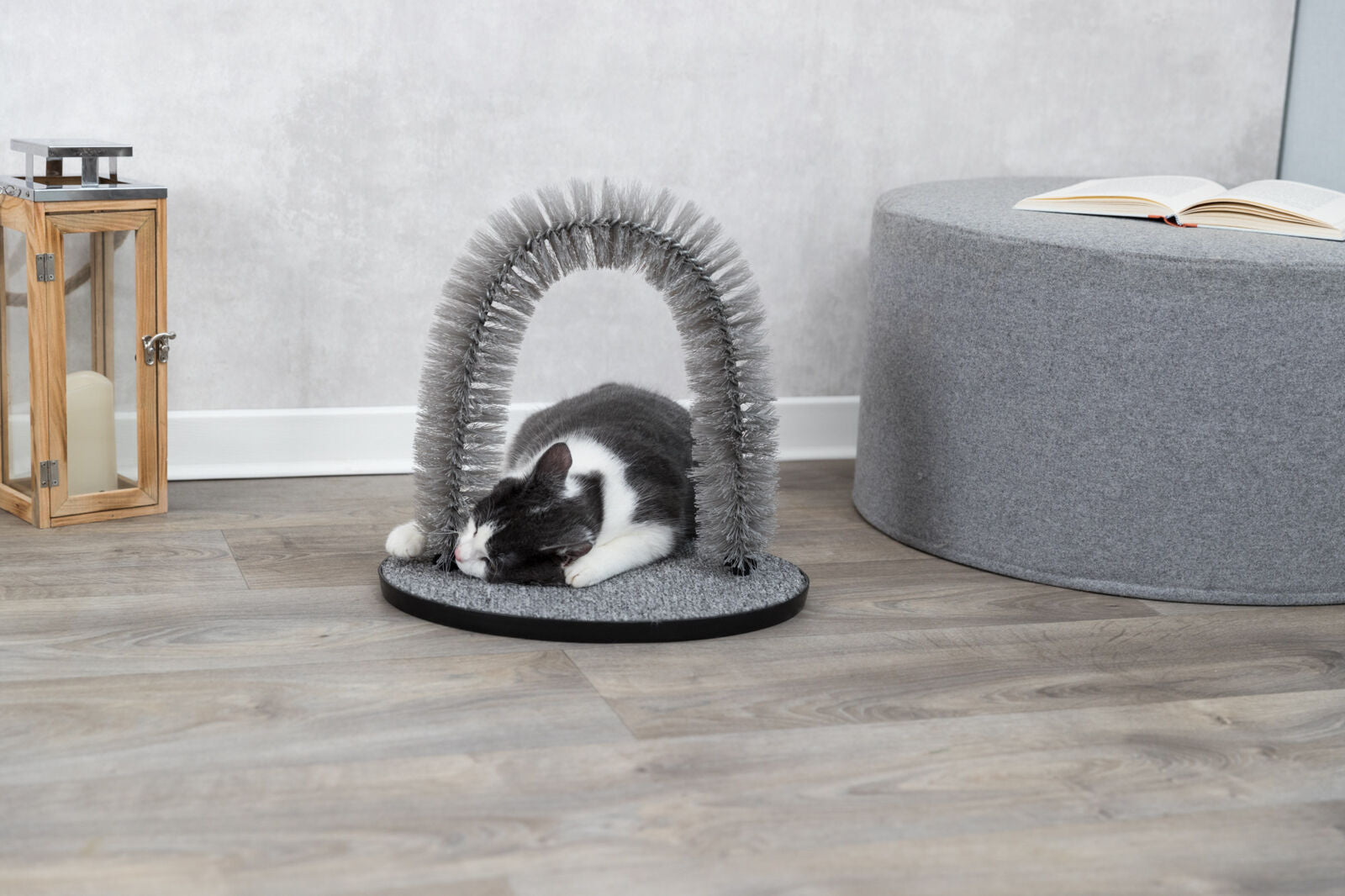 Massage Arch for Cats by Trixie – Animalian Nature